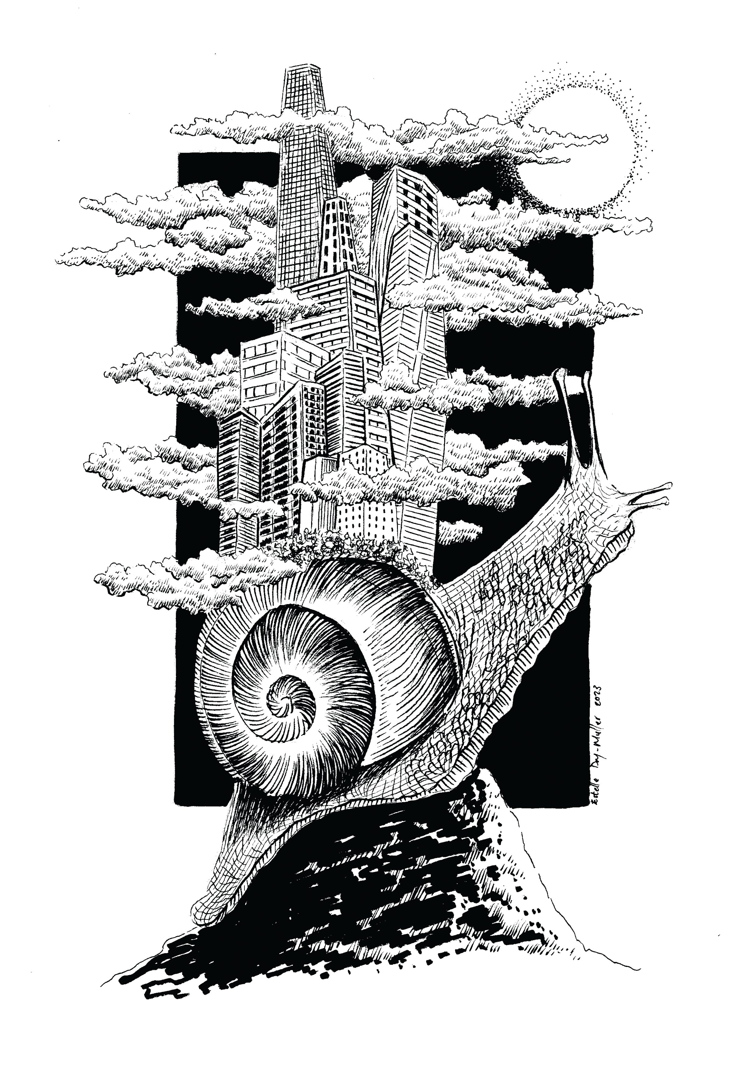 Snail City – My Store